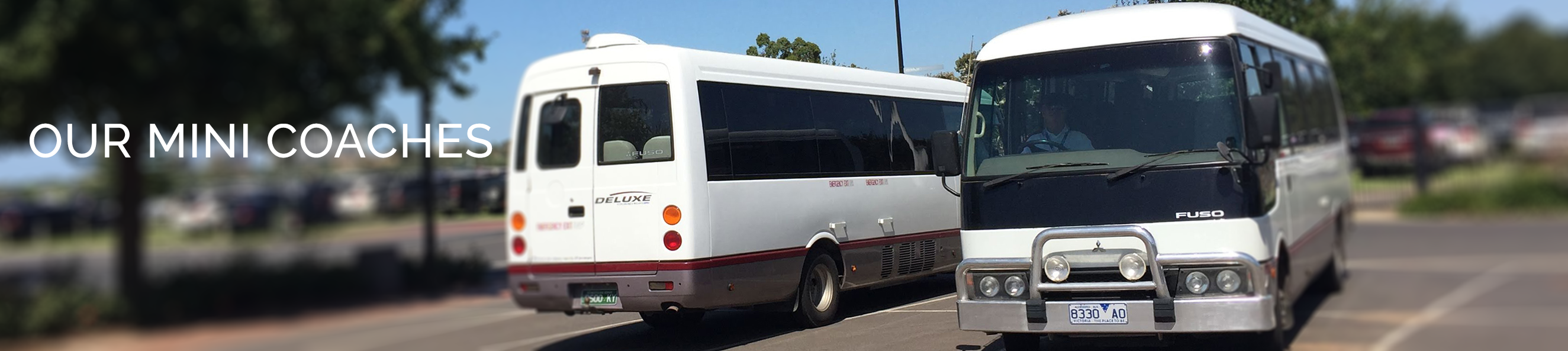 Deluxe Coachlines - Mini Coaches